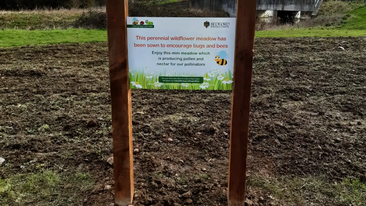 Making Bedford Borough friendlier for Bugs and Bees - Bedford Liberal ...
