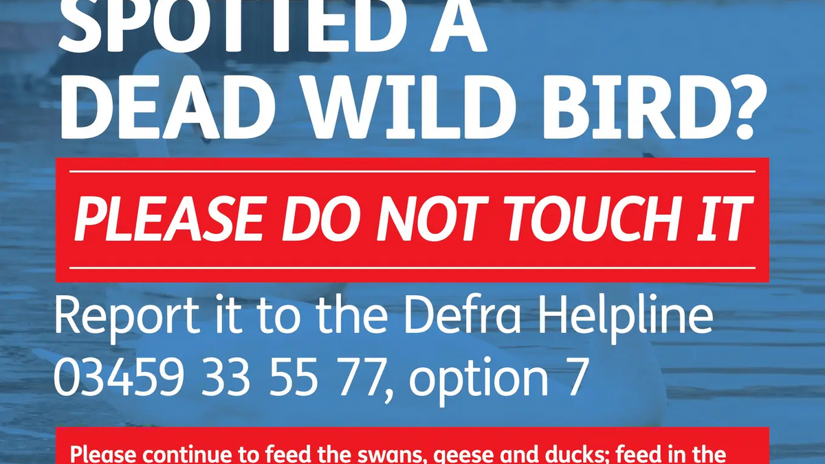 Council encourages public to exercise caution over reported bird deaths ...