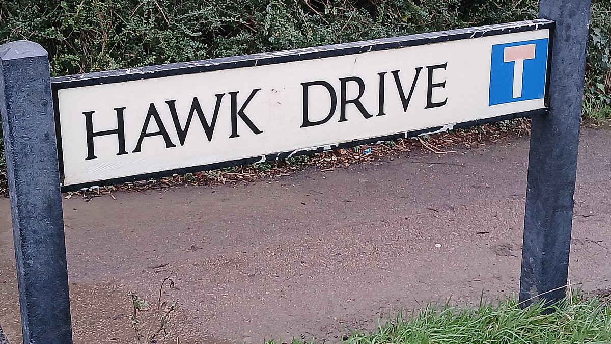 Liberal Democrats call for reinstatement of school crossing patrols ...