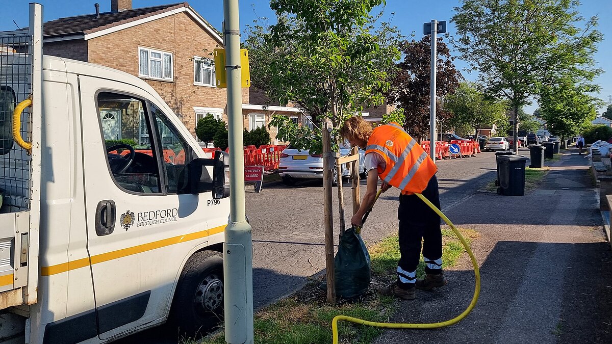 Bedford Borough Council asks residents to help water young trees ...
