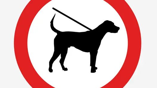 Council reminds residents to control dogs - Bedford Liberal Democrats